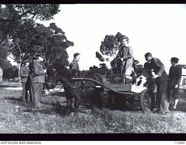 112640 [children riding in a pony cart at Camp Pell] | Find and Connect