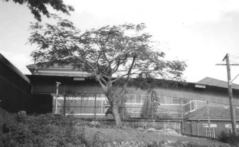 Wilson Youth Hospital | Find and Connect