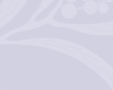 Home | Find and Connect Australian orphanages, children's Homes & other ...